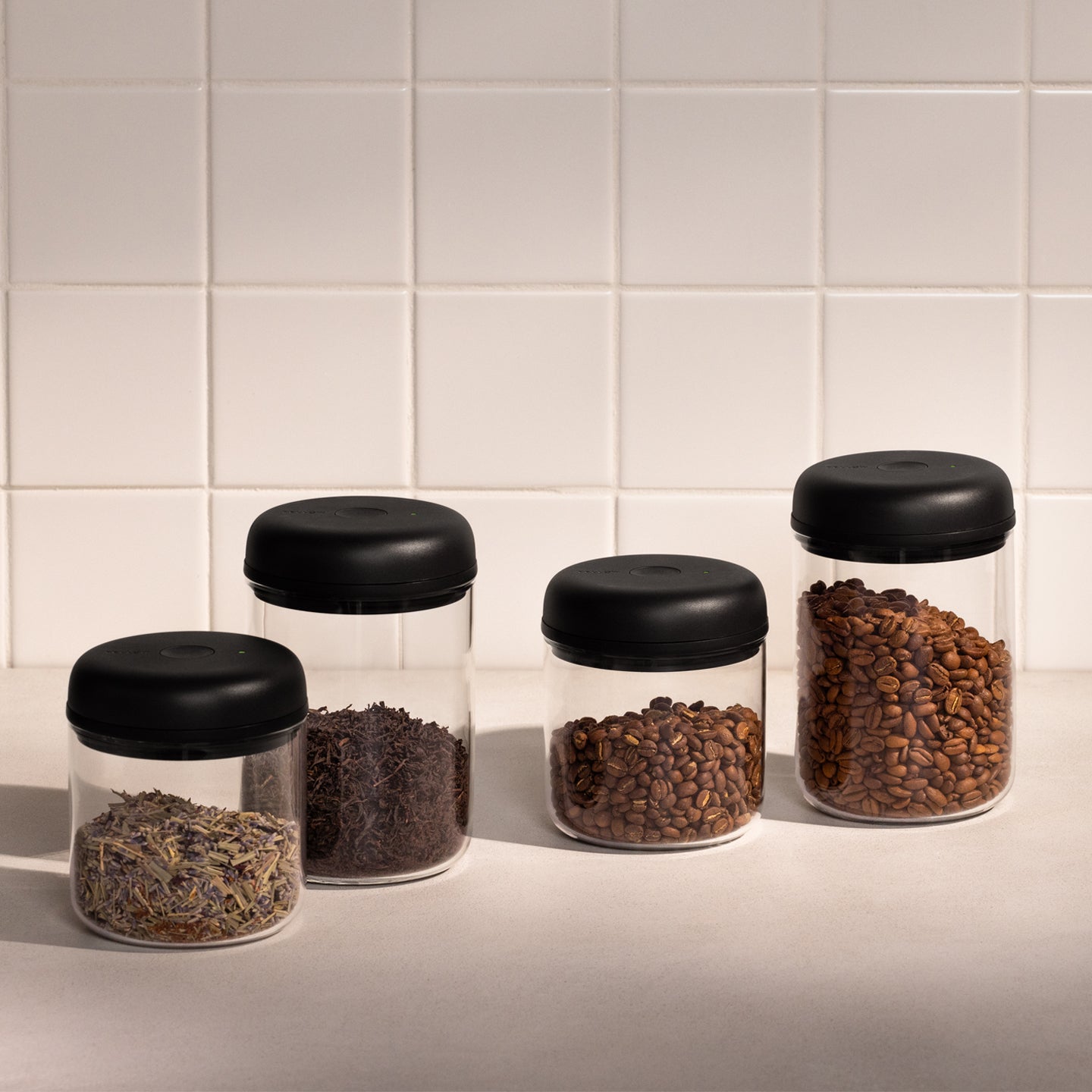 Fellow Electric Atmos Canister / Clear Glass| Borough Kitchen