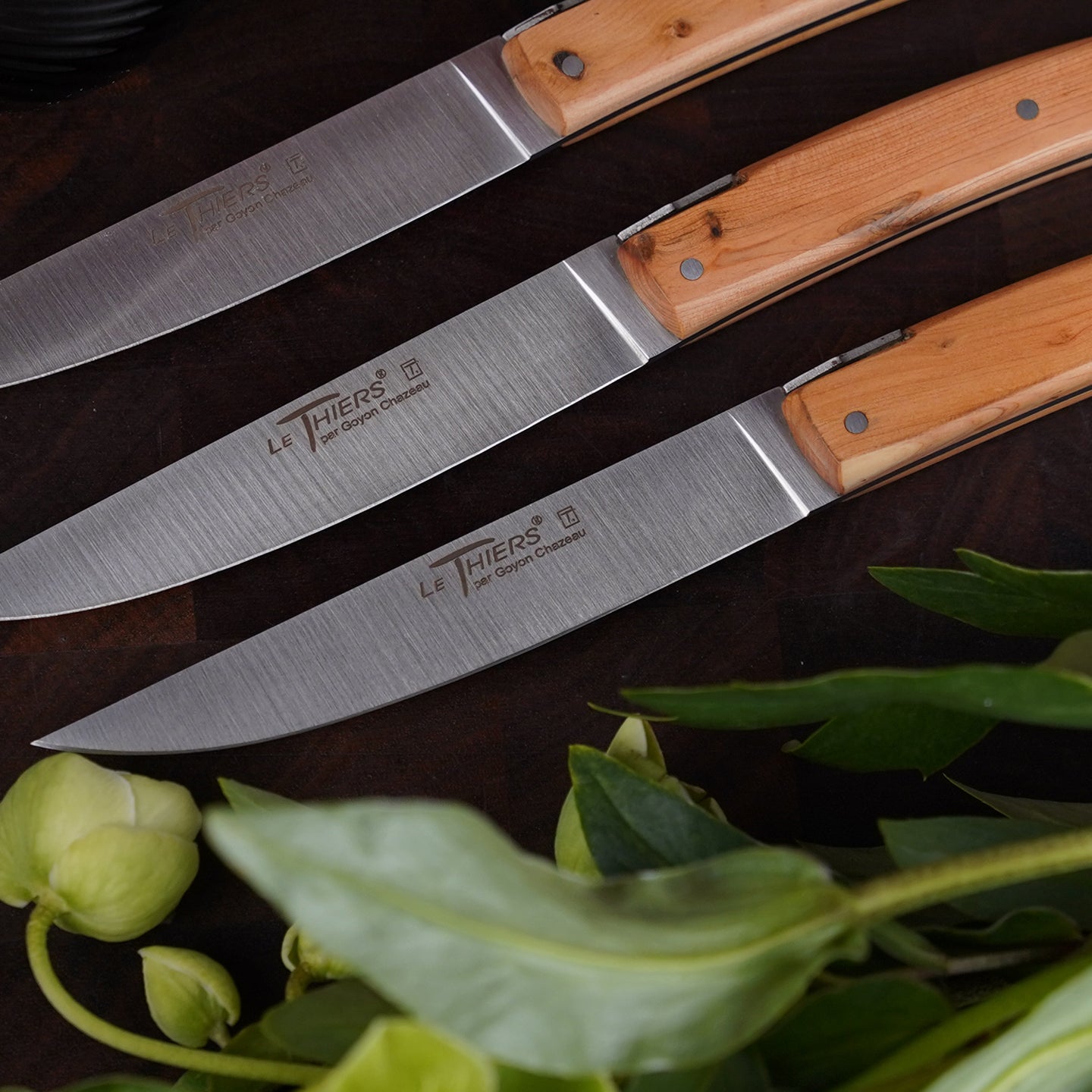 Goyon-Chazeau Le Thiers Brasserie Steak Knife Set / Set of 4 / Juniper ...