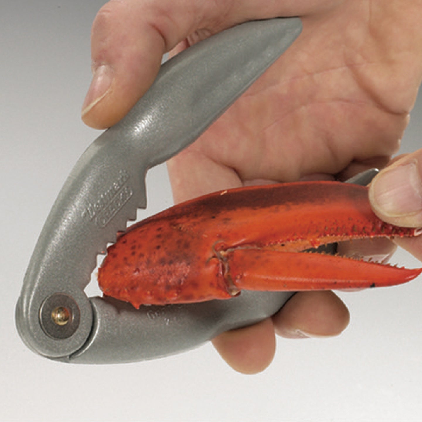 Westmark Cracky Shellfish Cracker | Borough Kitchen